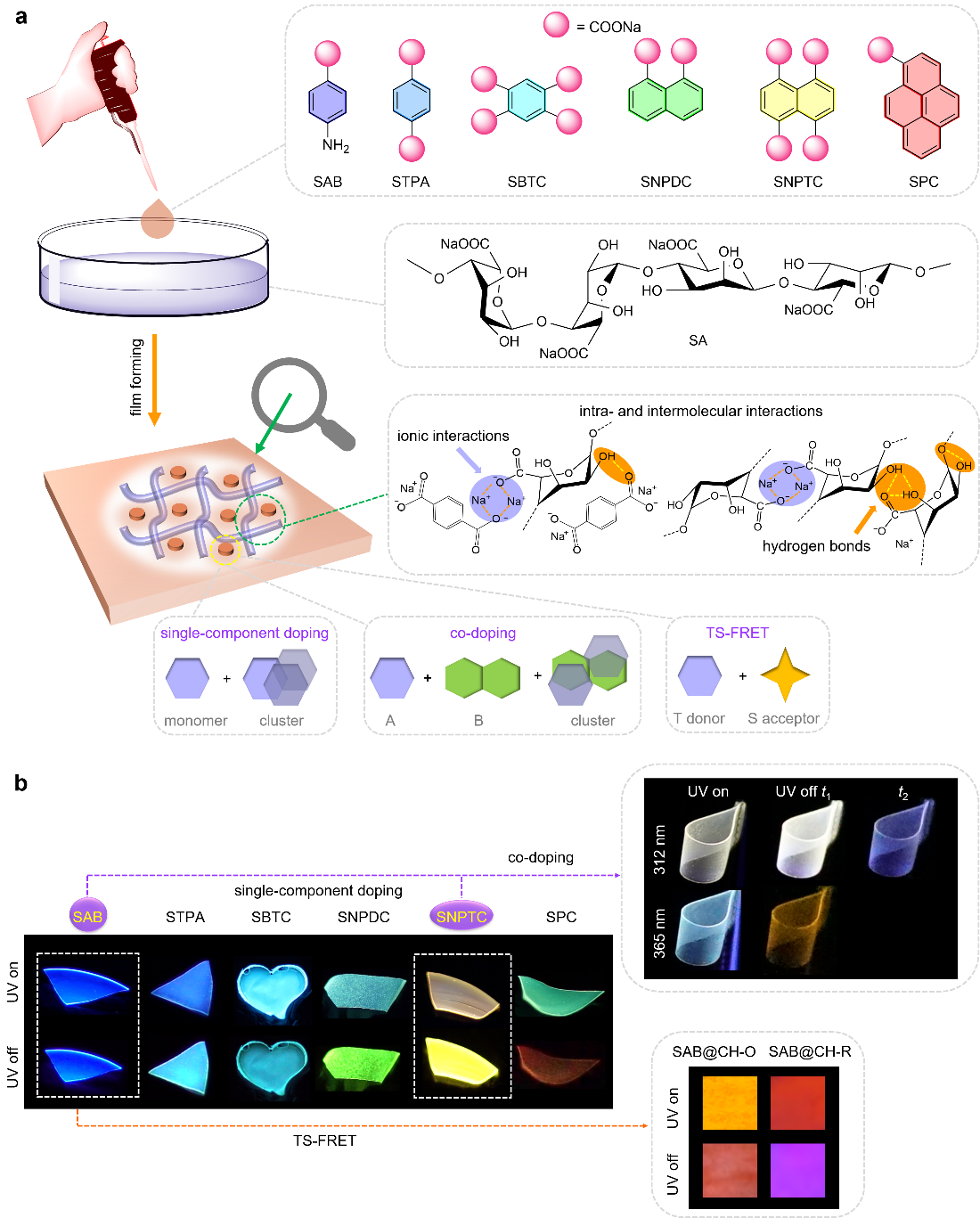 2022年度科研成果-青岛大学山东省可再生膜材料重点实验室